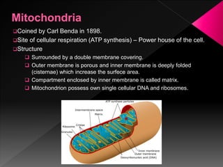 grade 8 Cell – the basic unit of life.pptx