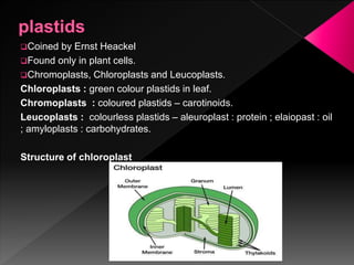 grade 8 Cell – the basic unit of life.pptx