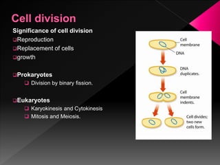 grade 8 Cell – the basic unit of life.pptx