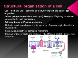 grade 8 Cell – the basic unit of life.pptx