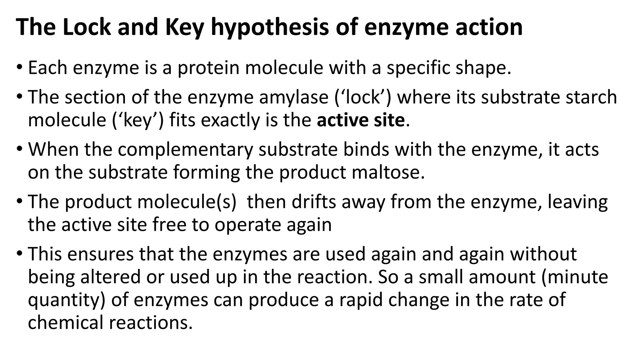 Grade 8 Chapter 4 Enzymes.pptx i | PPTX