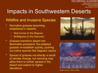 IGCSE Ecological Impacts of Climate Change | PPTX