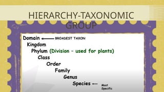 grade 8_Concept of Species Grade 8 .pptx