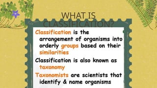 grade 8_Concept of Species Grade 8 .pptx