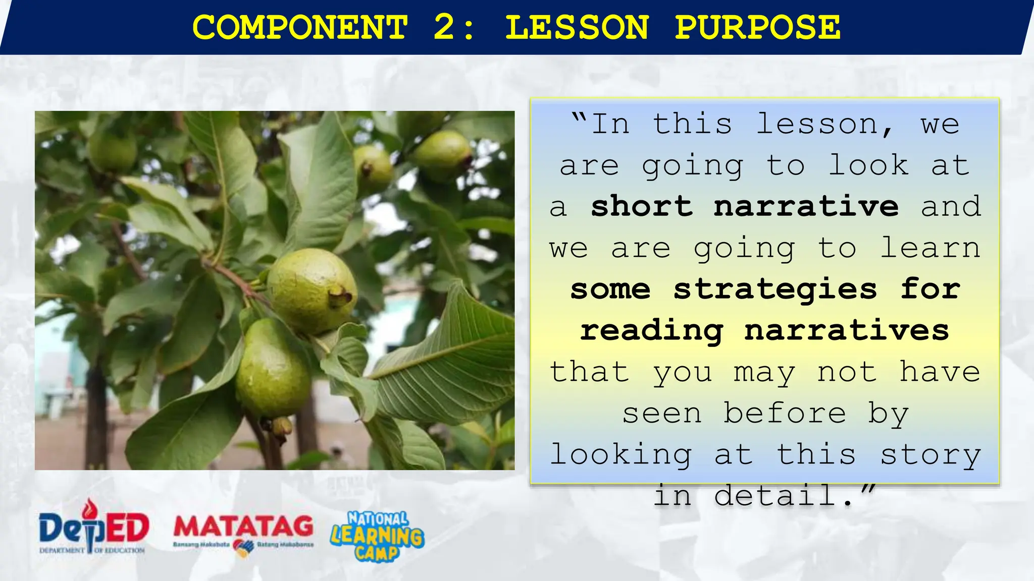 Grade 8 English Lesson 1 - Enhancement & Consolidation.pptx