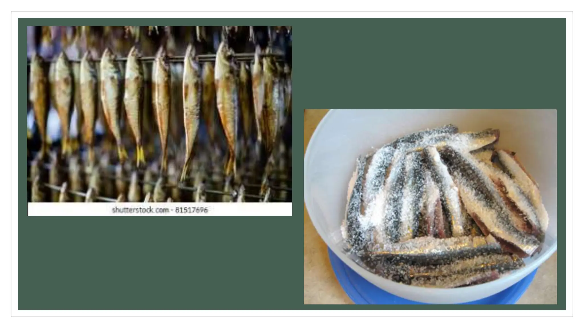 GRADE 8 fish food processing procedure.pptx