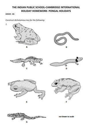 Dichotomous Key Examples 7th Grade