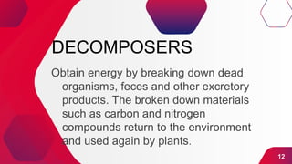 Grade 8 Lesson 15.pptx