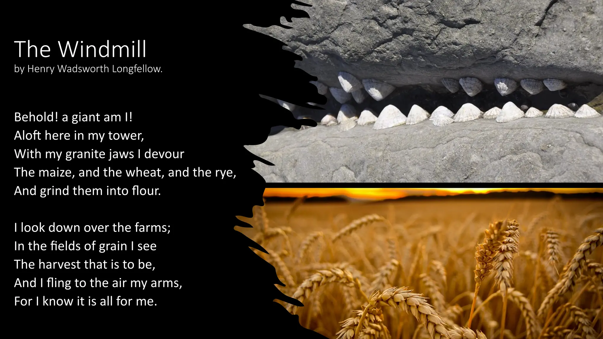 Grade 8 -Poem Analysis The Windmill.pptx | Poetry | Books and Literature