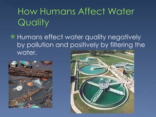 Grade 8 Science | PPT