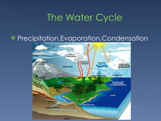 Grade 8 Science | PPT