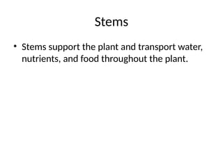Grade8_Science_Parts_of_a_Plant.Powerpoint Presentation | PPTX