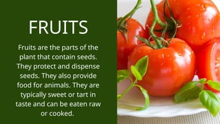 GRADE 8 SCIENCE PARTS OF THE PLANTS.pptx