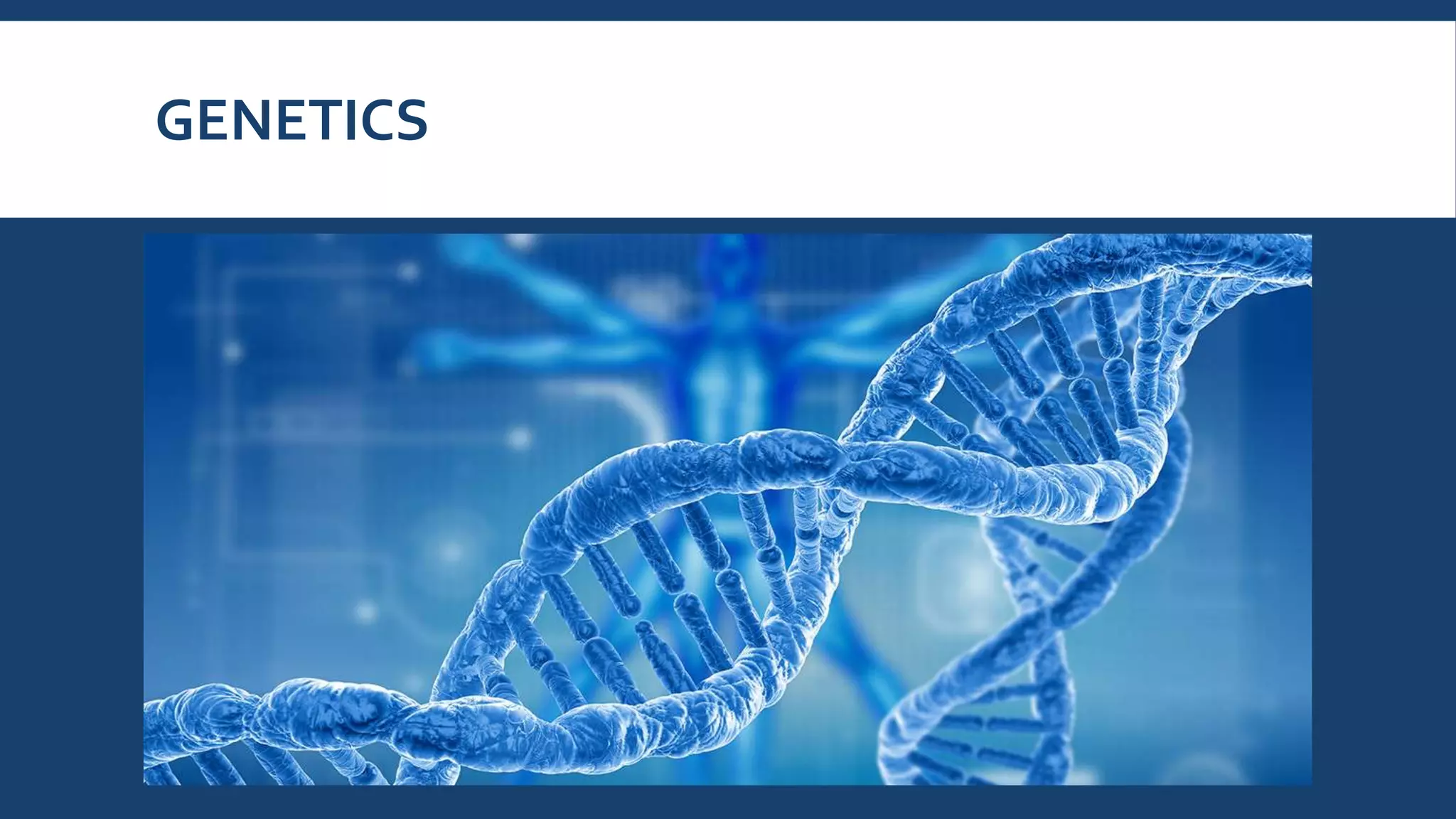 What is genetics | PPT