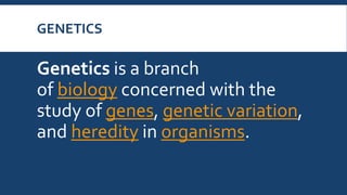 What is genetics | PPT