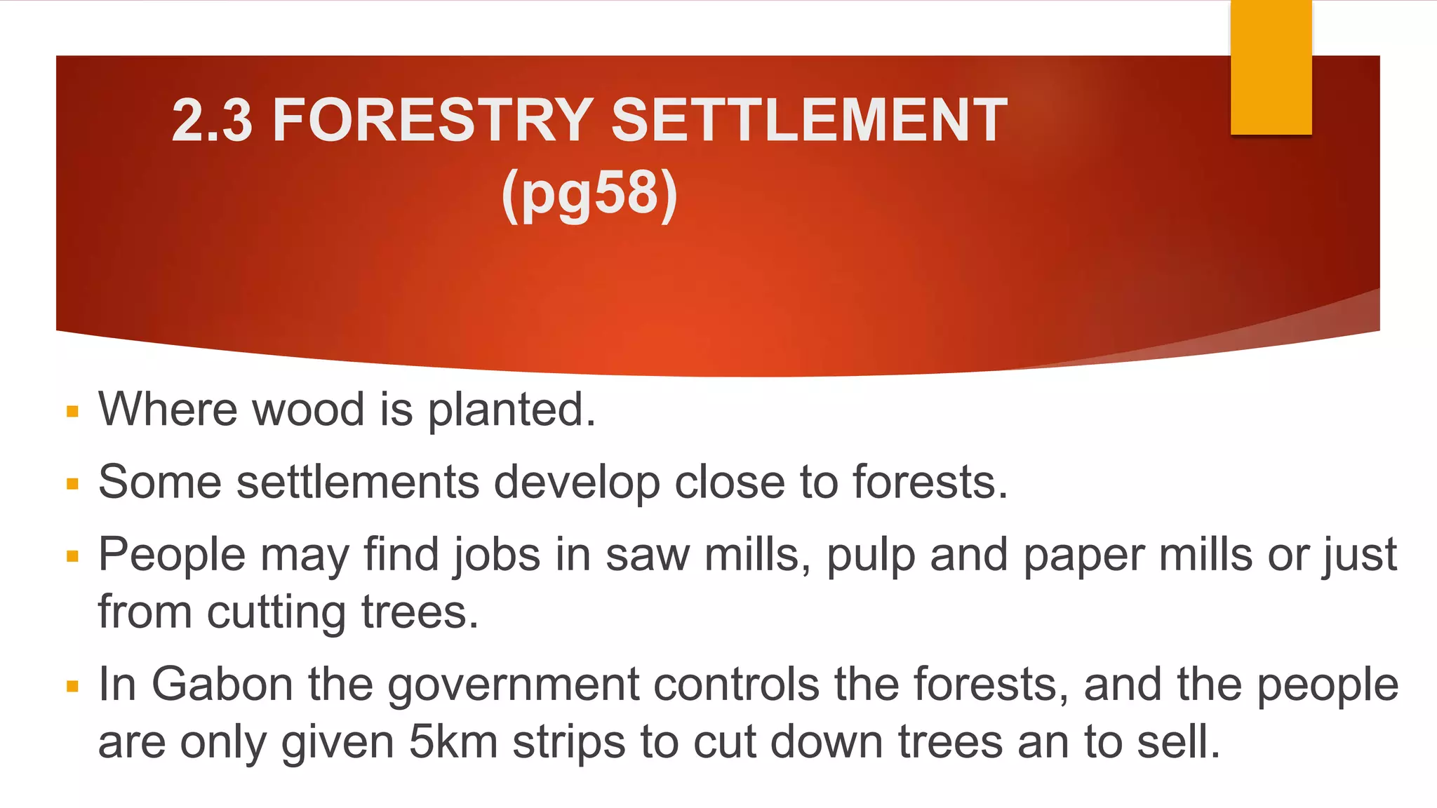 Grade 8 term 3 Geogeography (settlement) | PPTX