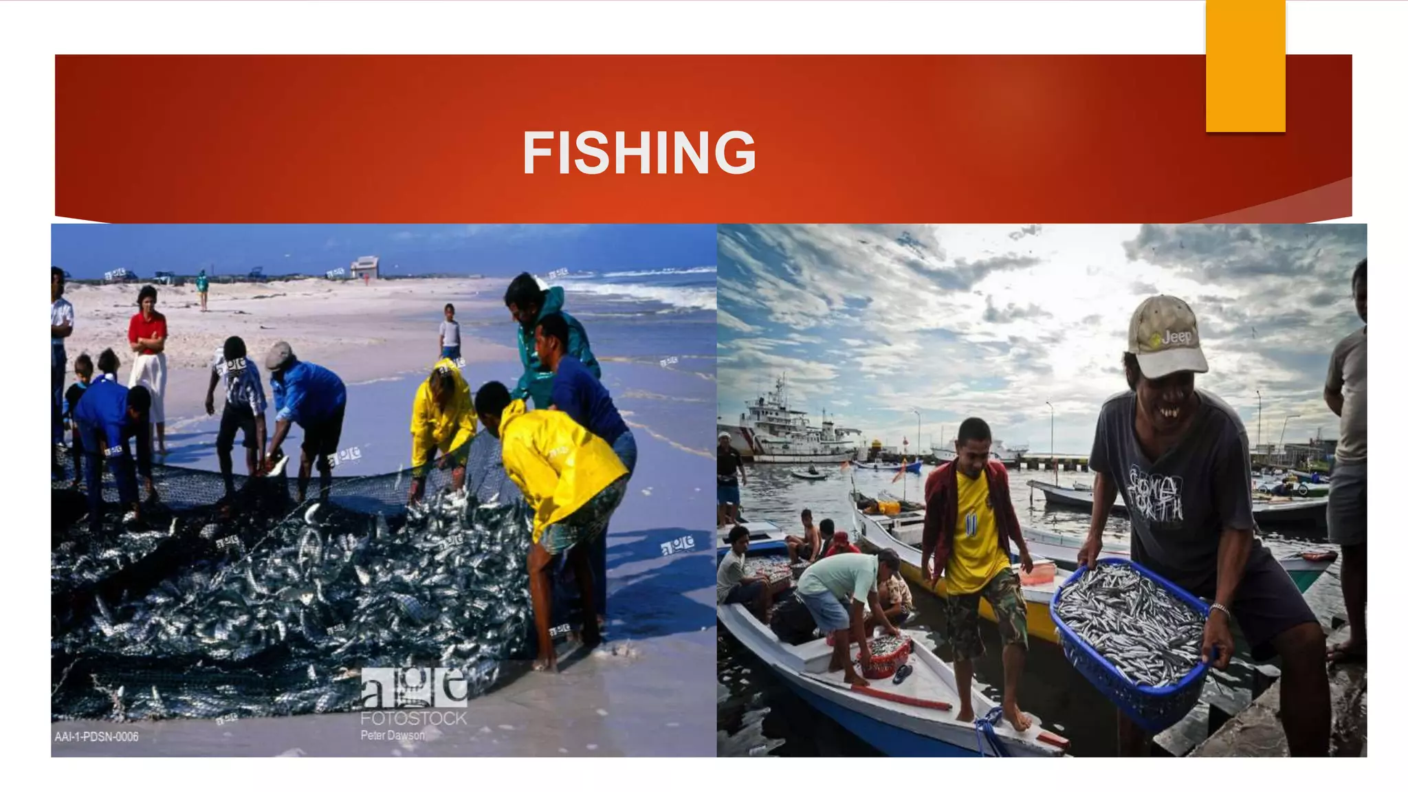 Grade 8 term 3 Geogeography (settlement) | PPTX