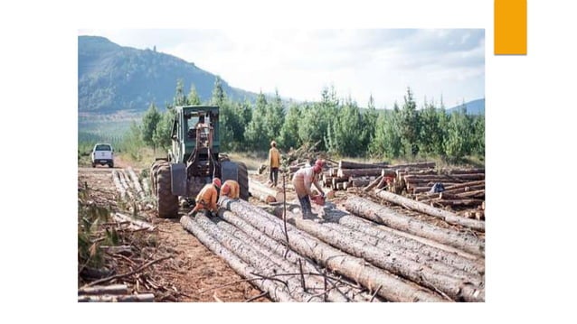 Grade 8 term 3 Geogeography (settlement) | PPTX