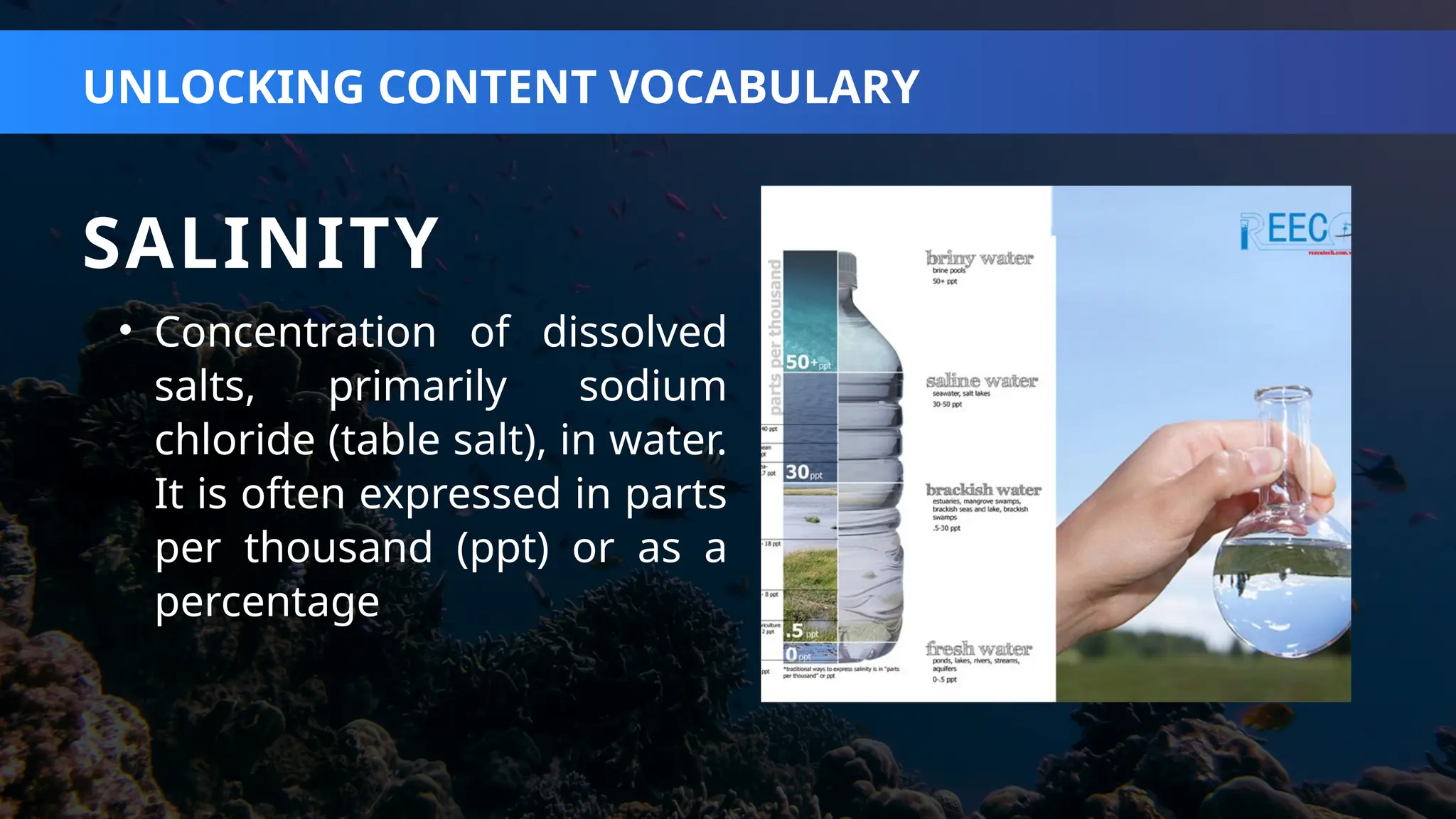 AQUACULTURE CAREER AND BUSINESS OPPORTUNITIES | PPTX