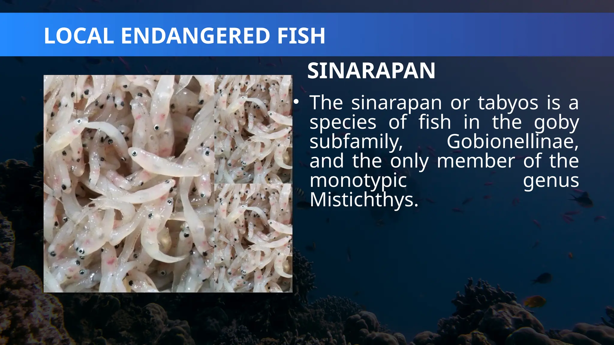 AQUACULTURE CAREER AND BUSINESS OPPORTUNITIES | PPTX