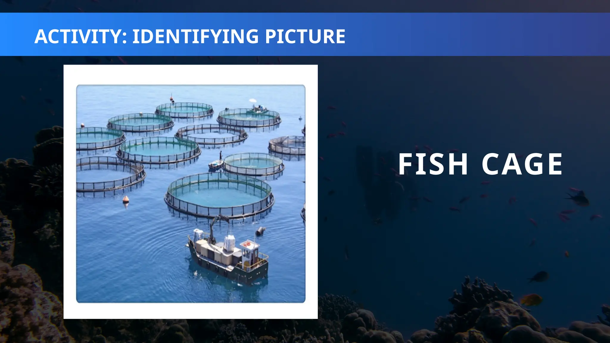 AQUACULTURE CAREER AND BUSINESS OPPORTUNITIES | PPTX