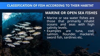 AQUACULTURE CAREER AND BUSINESS OPPORTUNITIES | PPTX
