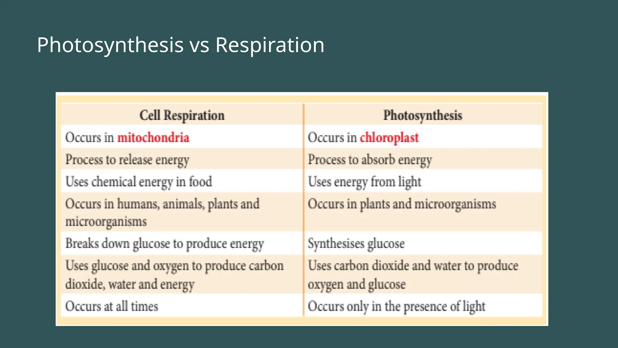 Grade 9-photosynthesis and respiration.pptx