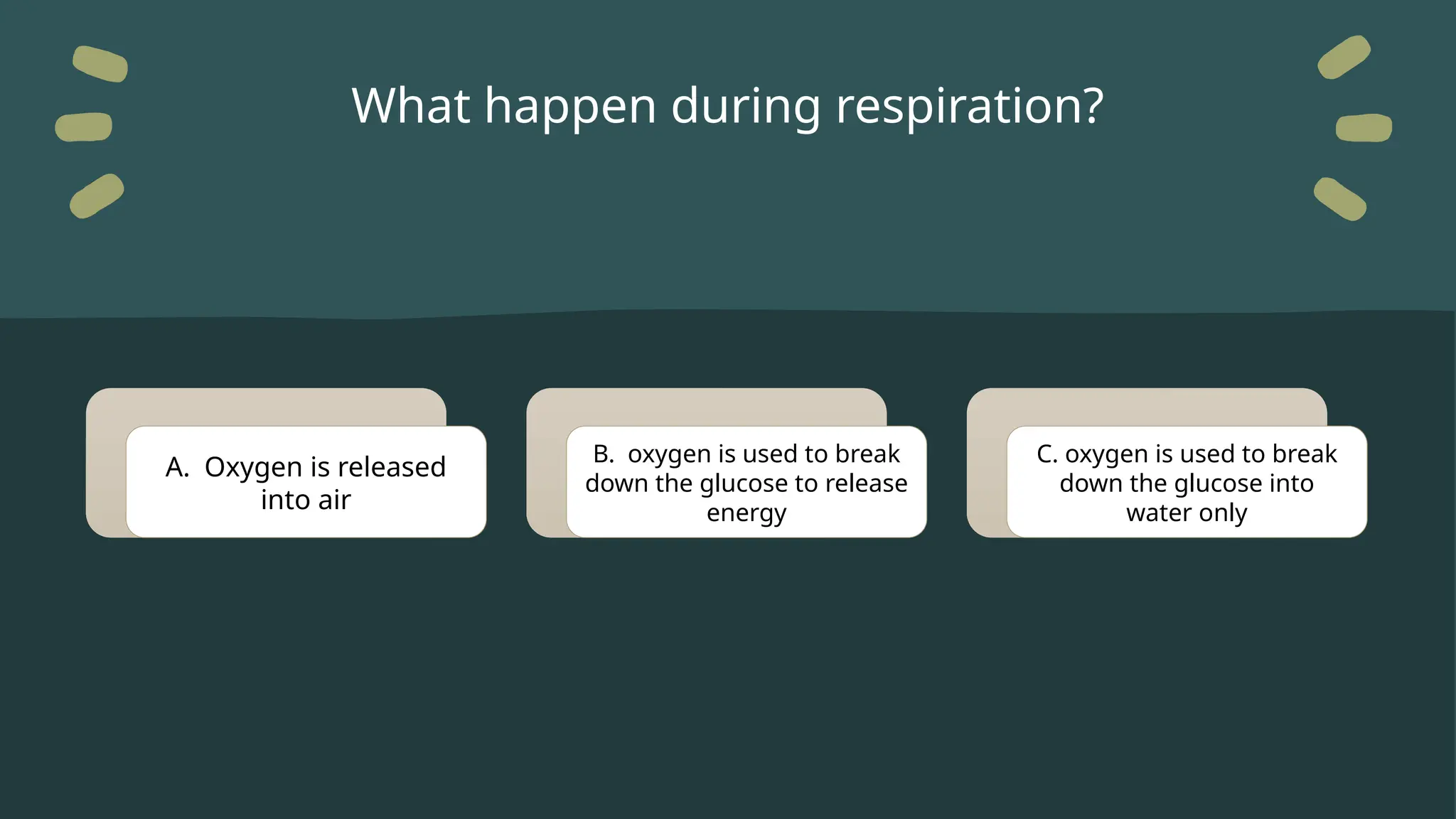 Grade 9-photosynthesis and respiration.pptx