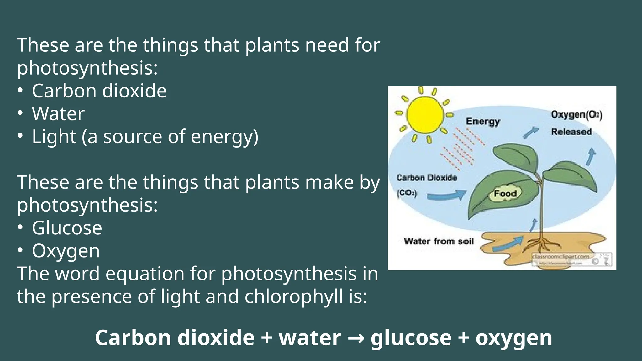 Grade 9-photosynthesis and respiration.pptx