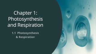 Grade 9-photosynthesis and respiration.pptx