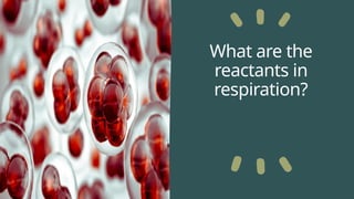 Grade 9-photosynthesis and respiration.pptx