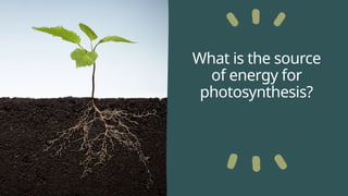 Grade 9-photosynthesis and respiration.pptx