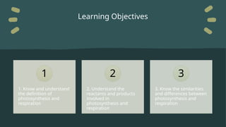 Grade 9-photosynthesis and respiration.pptx