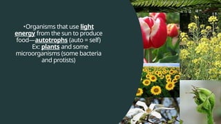 Grade 9-photosynthesis and respiration.pptx