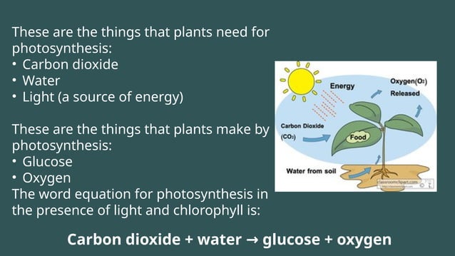 Grade 9-photosynthesis and respiration.pptx | Biological Sciences | Science