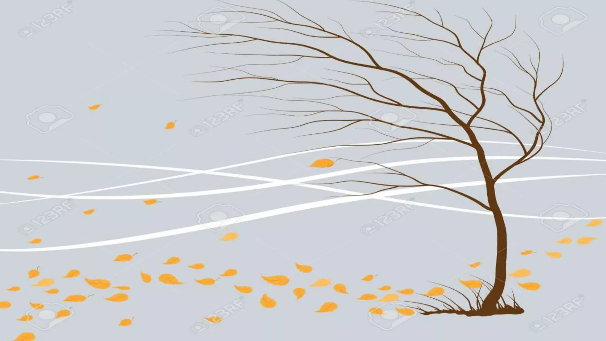 Grade 9 - The Last Leaf.pptx