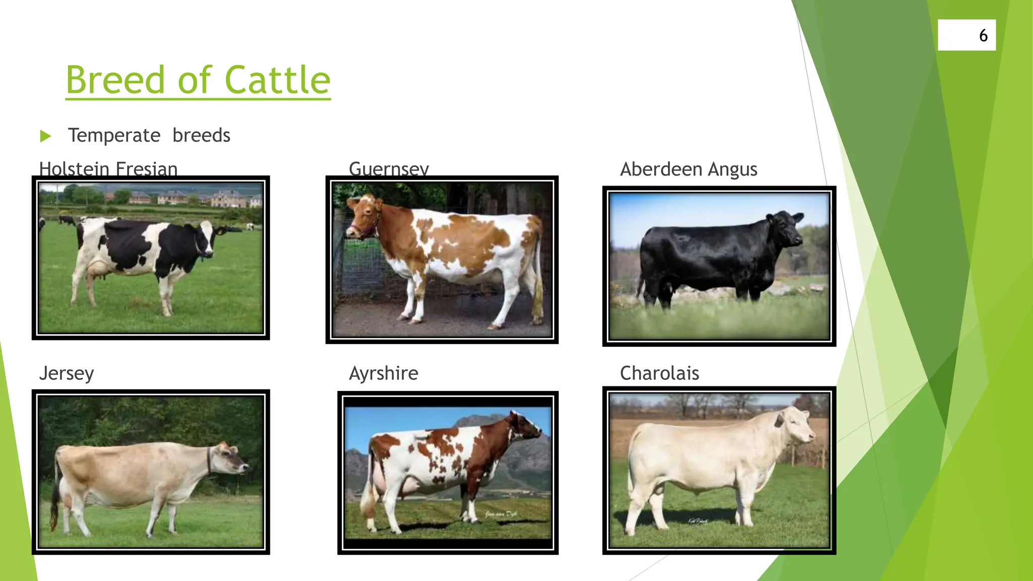 Grade 9 Agriculture Science Week 3 Lesson 1.pptx
