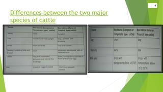 Grade 9 Agriculture Science Week 3 Lesson 1.pptx