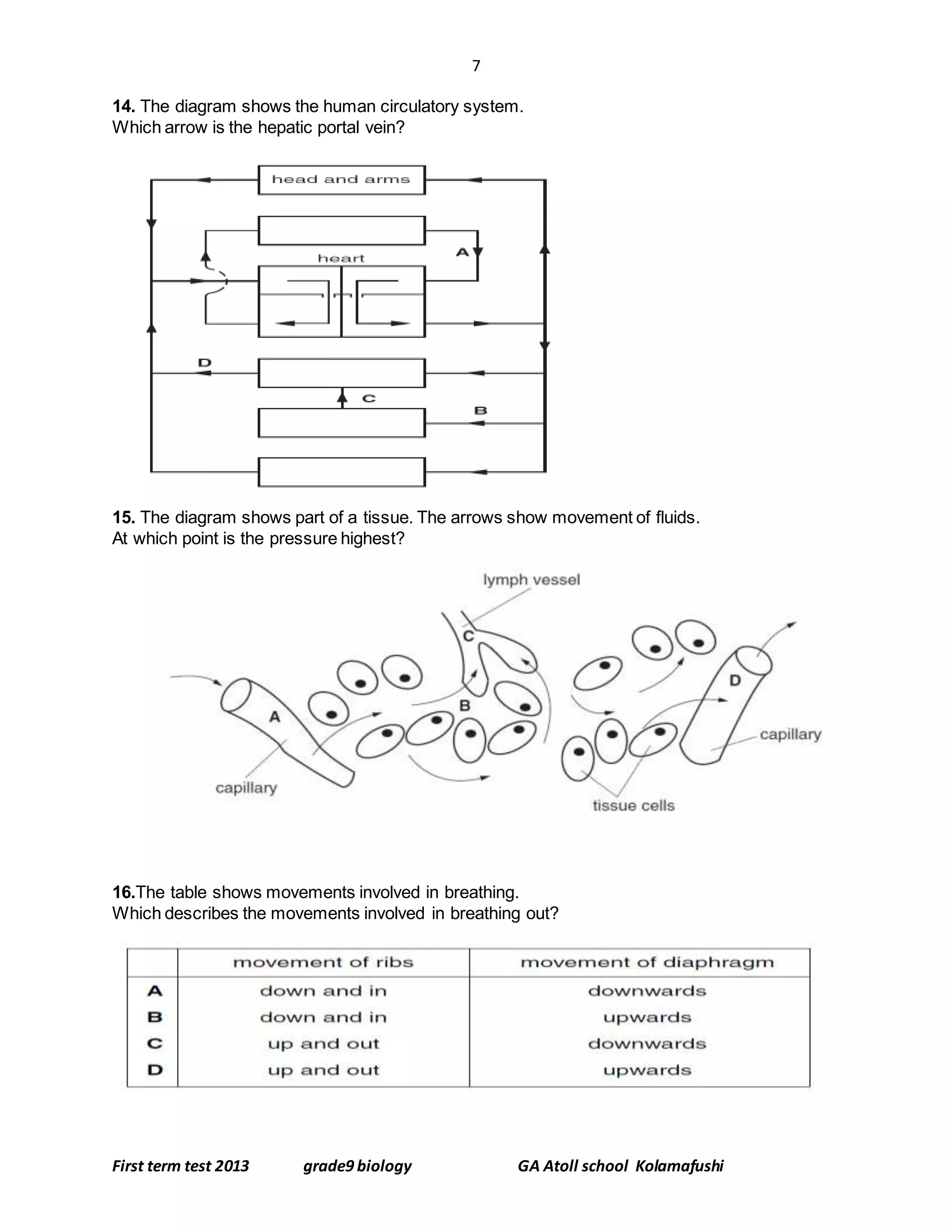 Grade 9 biology paper 1 term 1 2013 | DOCX