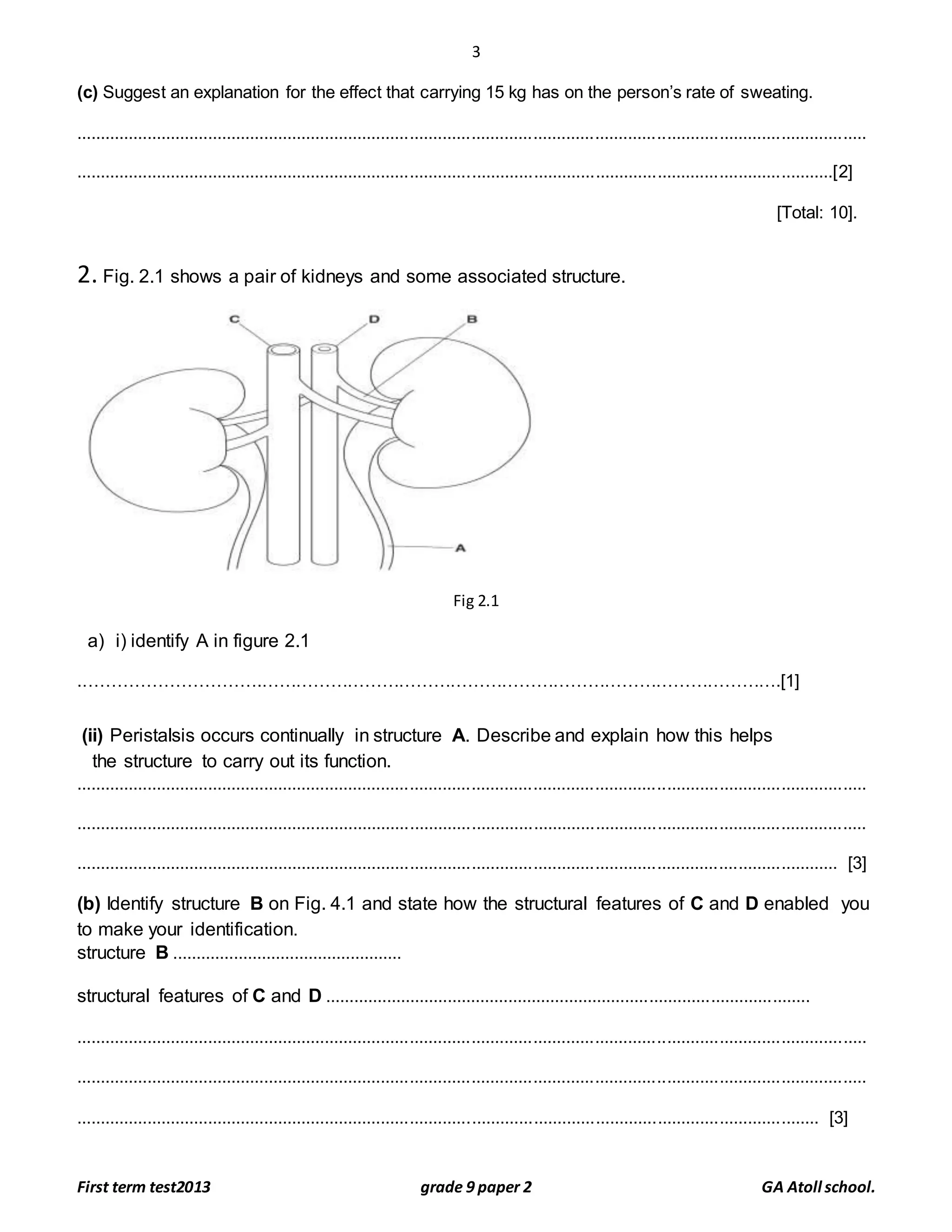 Grade 9 biology paper 2 term 1 2013 copy | PDF