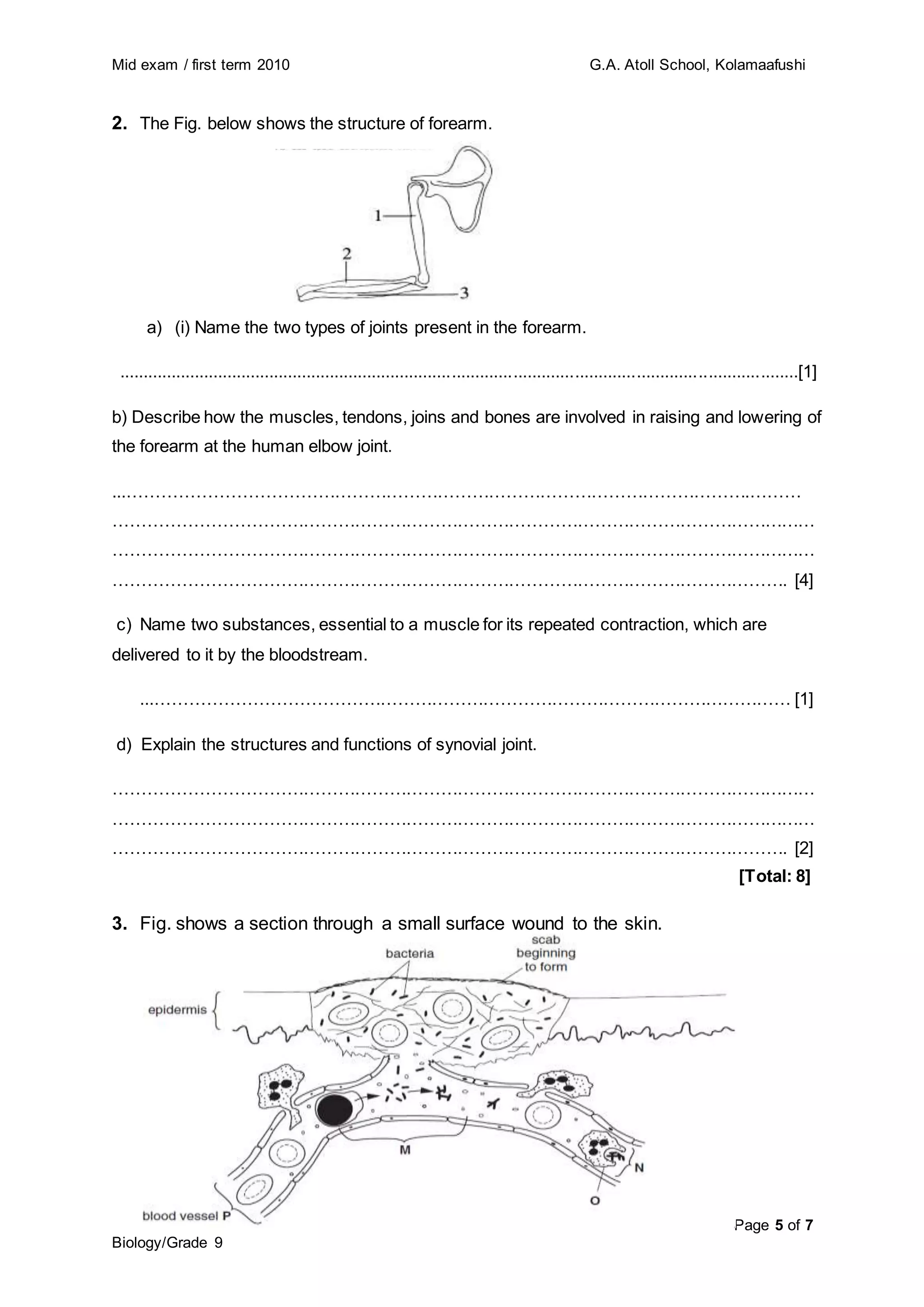 Grade 9 bio mid term | DOCX