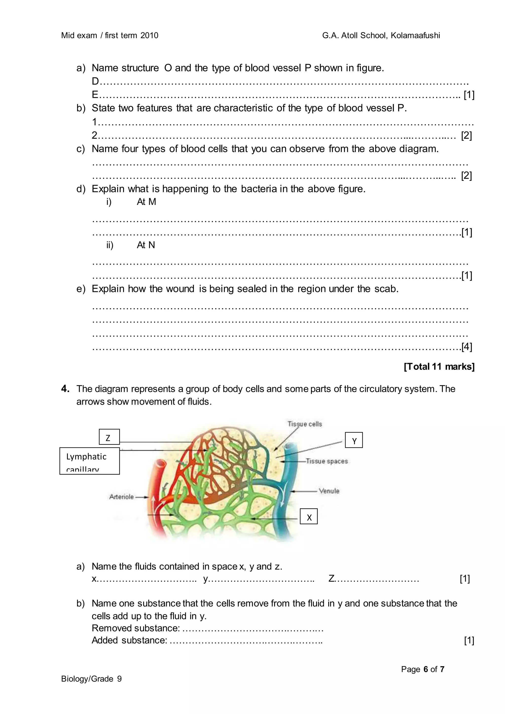 Grade 9 bio mid term | DOCX