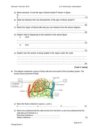 Grade 9 bio mid term copy | DOCX | Heart and Cardiovascular Diseases ...