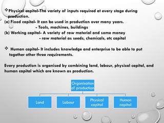 Grade 9 Chapter 1 Economics PALAMPUR.pptx