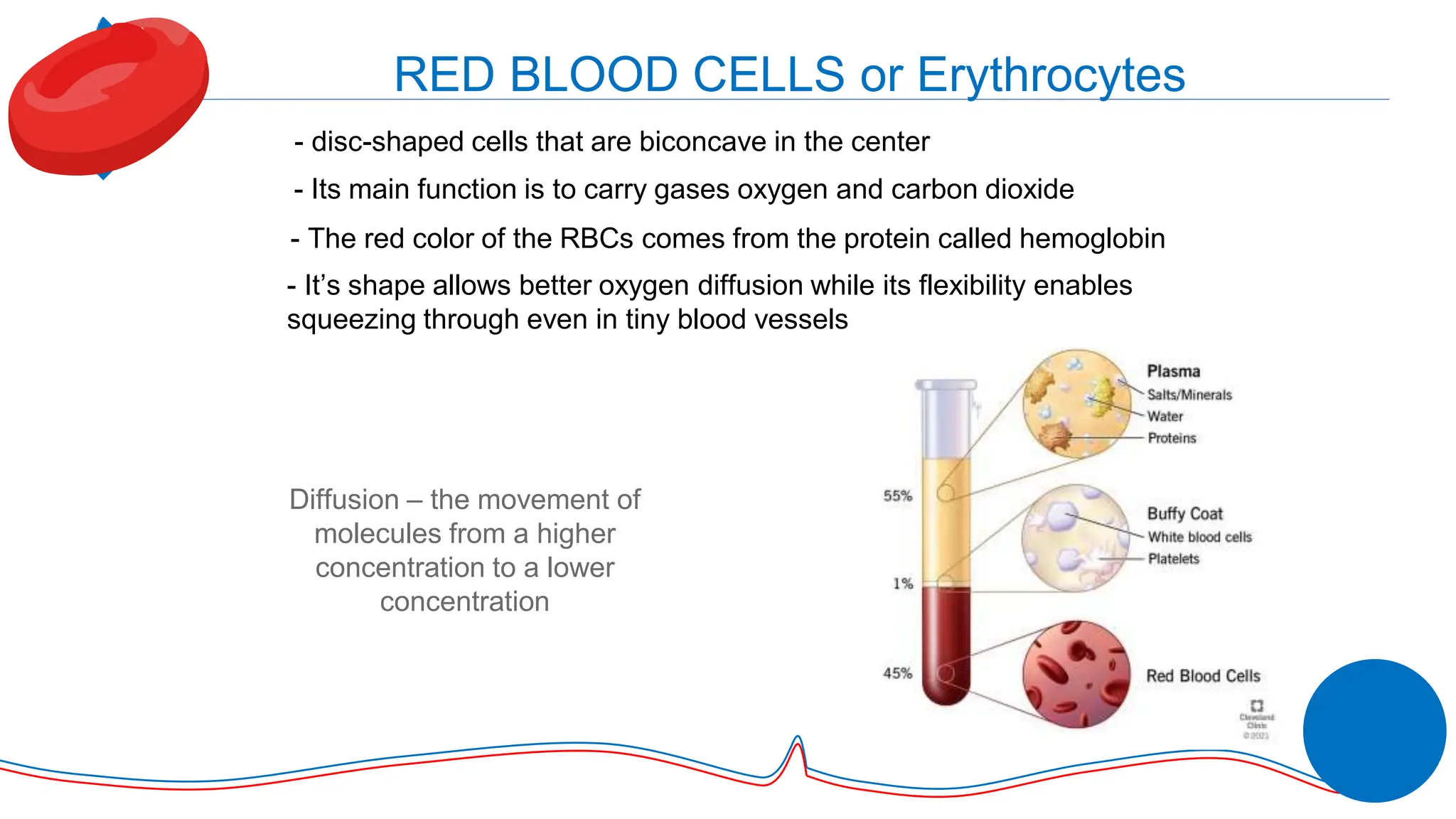 Grade 9 Circulatory System part 1 (parts).pptx