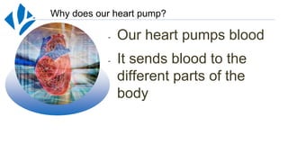 Grade 9 Circulatory System part 1 (parts).pptx