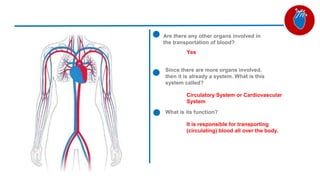 Grade 9 Circulatory System part 1 (parts).pptx