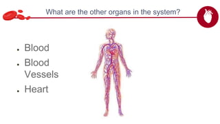 Grade 9 Circulatory System part 1 (parts).pptx