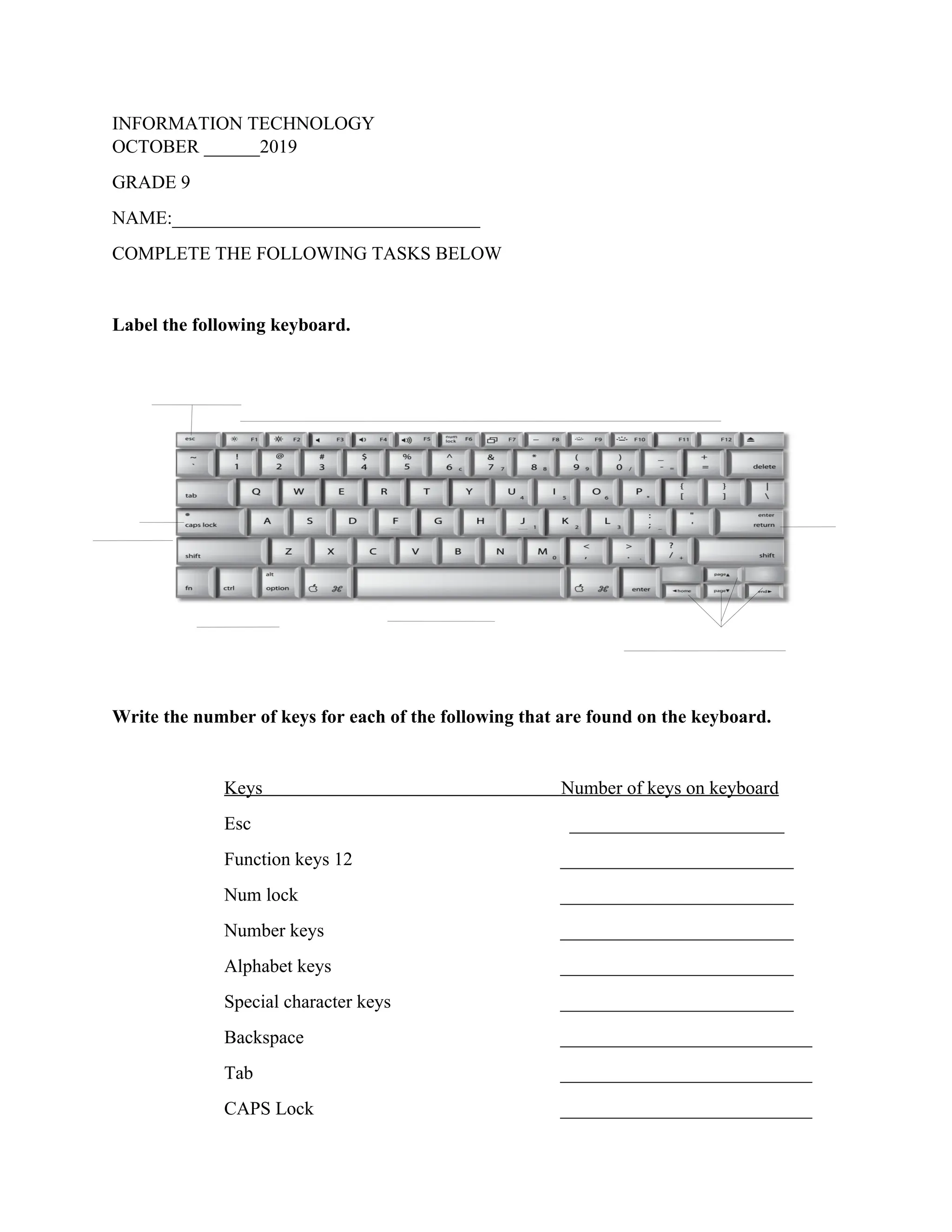 Information Technology Grade 9 class activity.docx