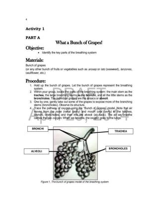 Grade 9 learner's module (science) | DOCX